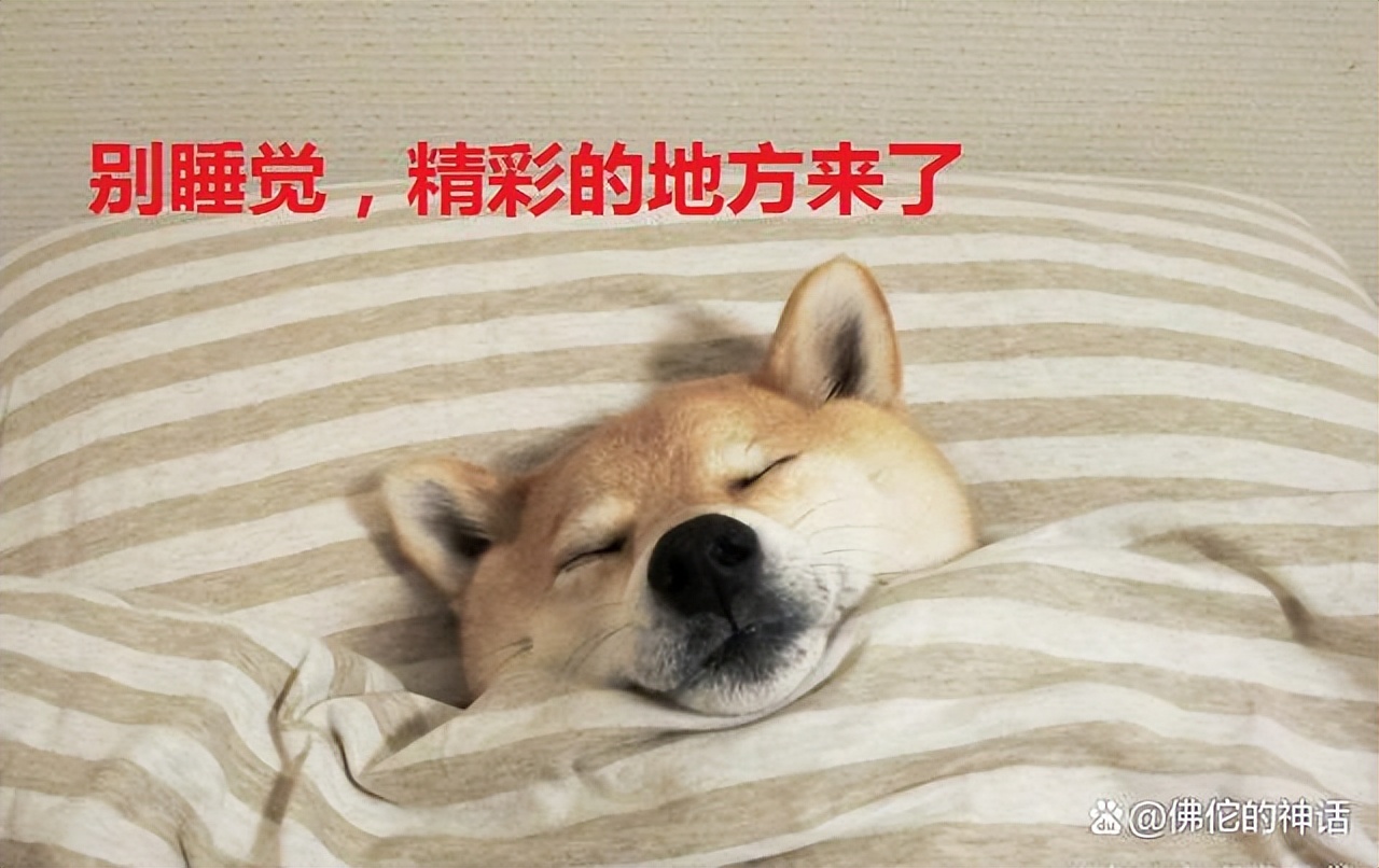 What is symmetry, and why is Noether's theorem so important? - iNEWS