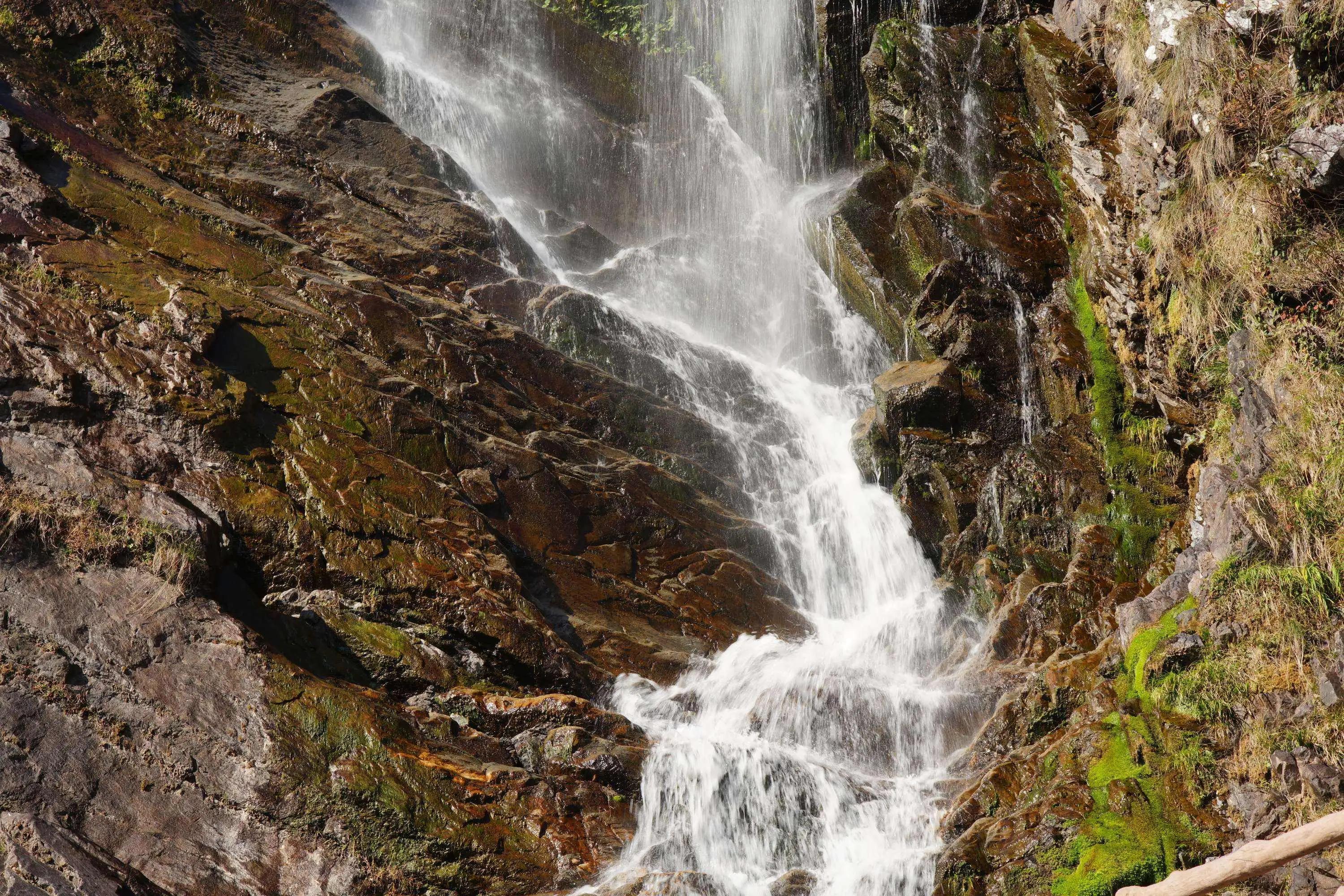 "China Tour" 78, Watching the Waterfall in Lushan Mountain - iNEWS