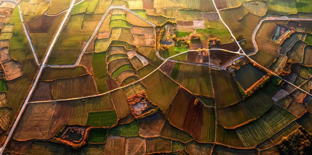 Photography Art Exhibition · Ye Qiang - iNEWS
