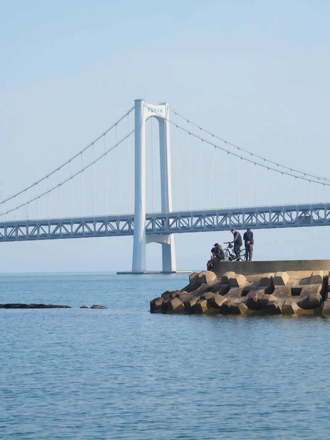 "There are really stars in Xinghai Bay!" - iNEWS