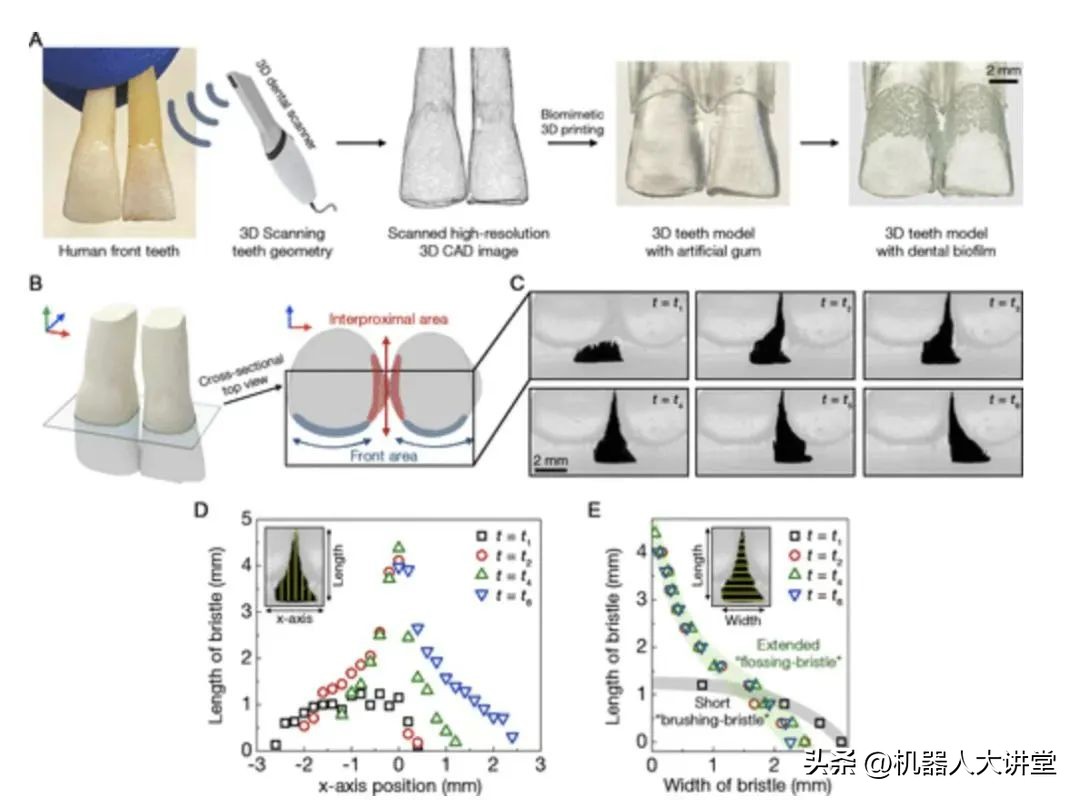 Can you brush your teeth automatically?U.S. Penn team subversive ...