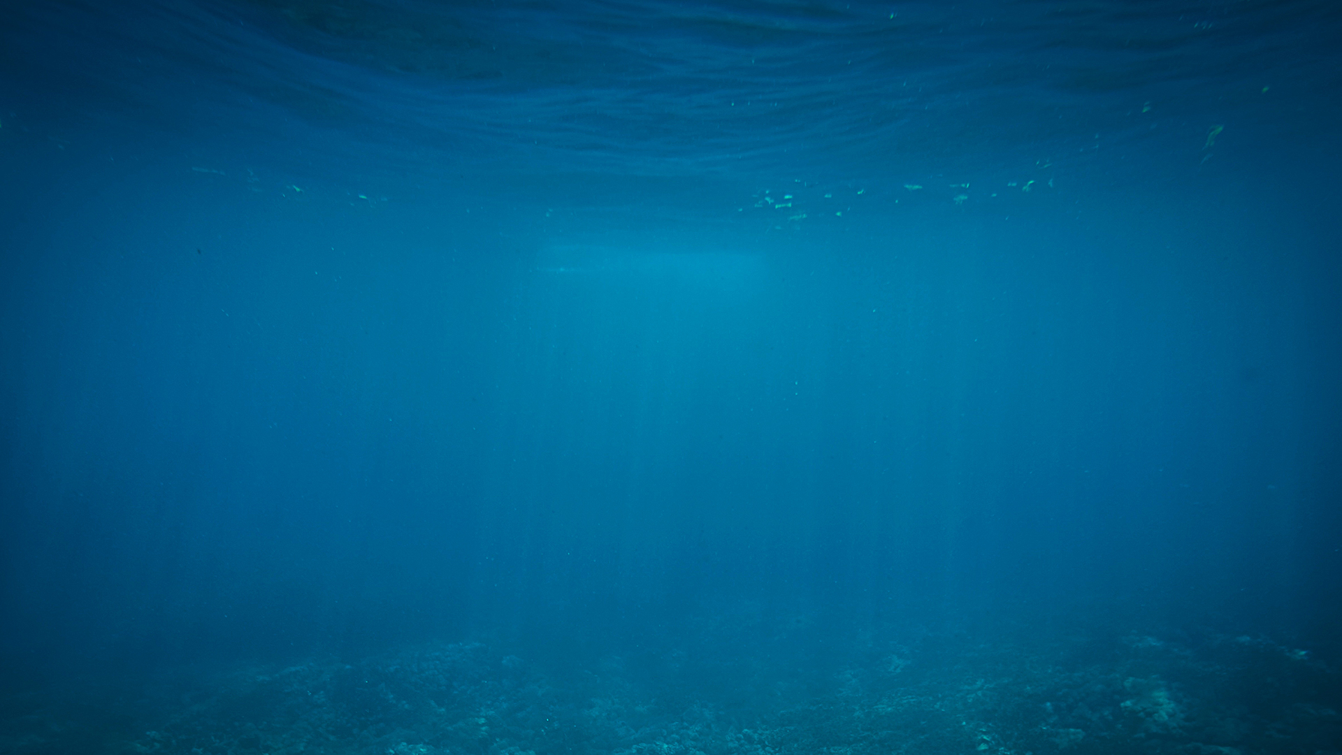 The charm of a huge object suspected of advanced origin hidden in the ...