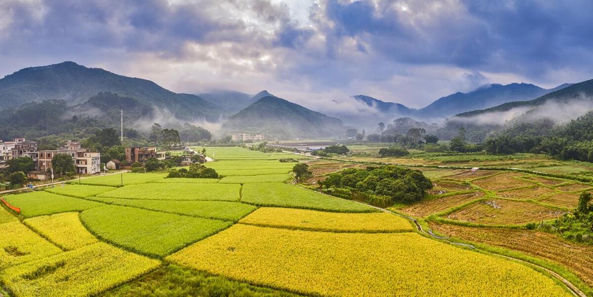 "Home Mountain": An Epic about the Countryside - iNEWS