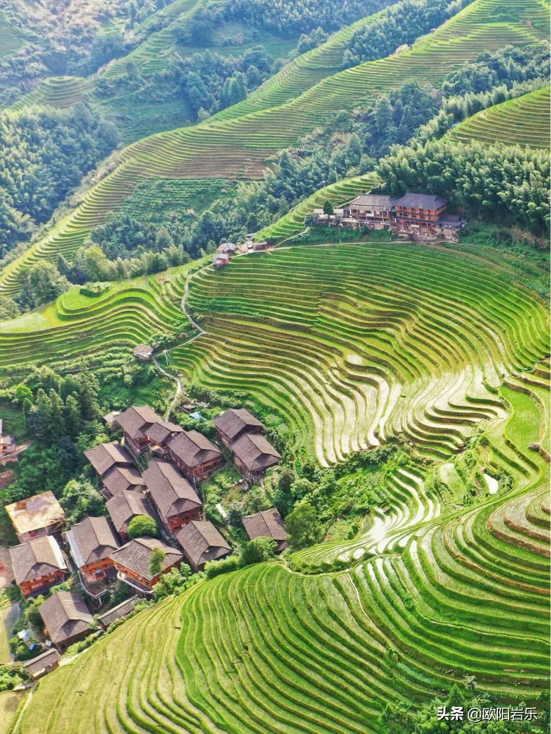 How beautiful are Chinese terraces?These 50 pictures are the best ...