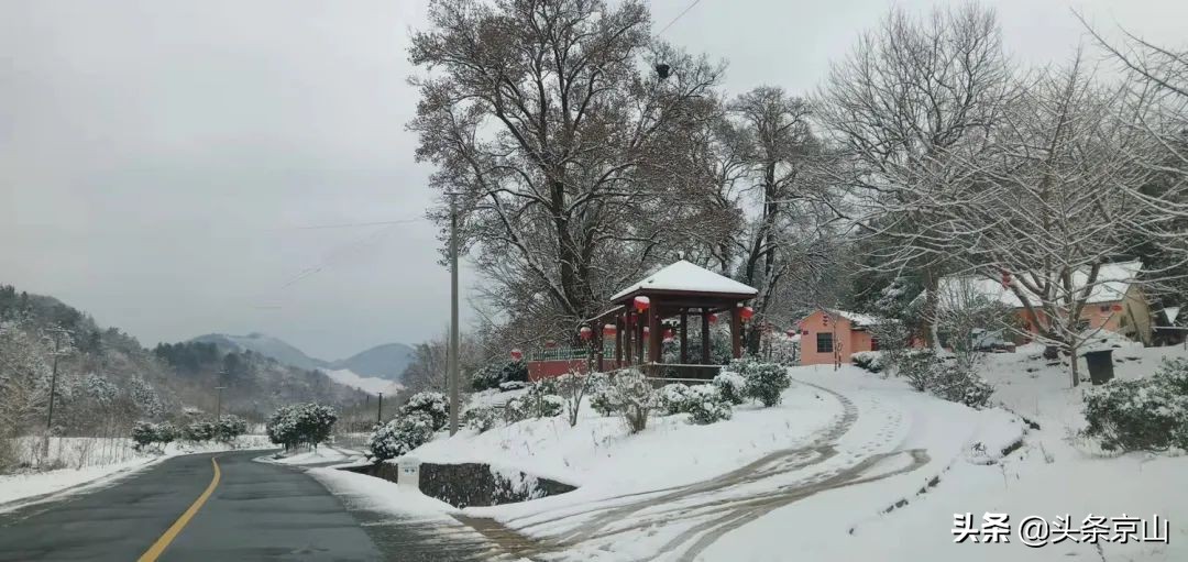 Jingshan Li Jinbiao's Prose: Lin Quan's Spring Return - iNEWS