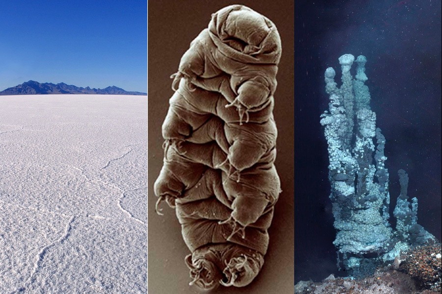 Three weird places and creatures on Earth that could prove alien life ...
