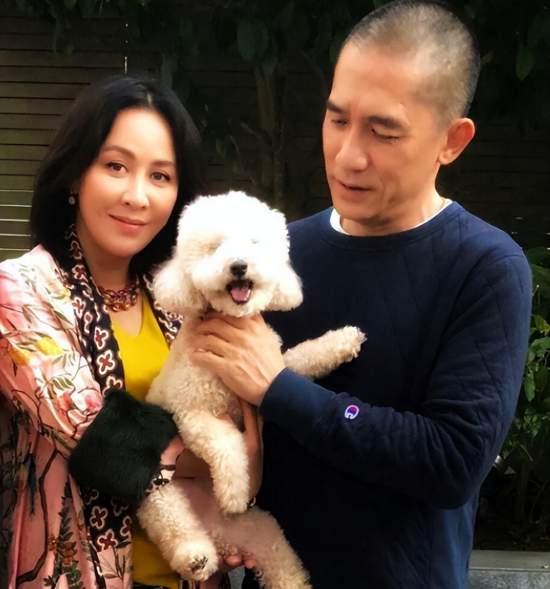 6 families want DINK stars, 5 families are still insisting, and 1 ...