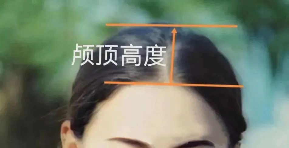 The high cranium with the effect of covering the face is really ...