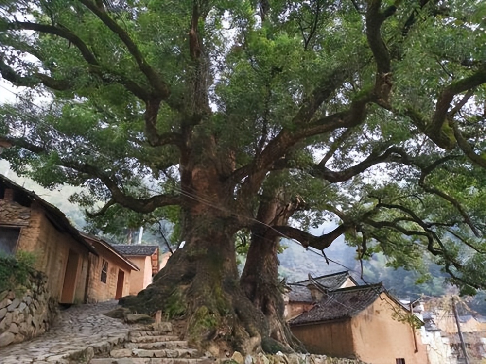 Misunderstood into the mysterious village in western Hunan, surprised ...