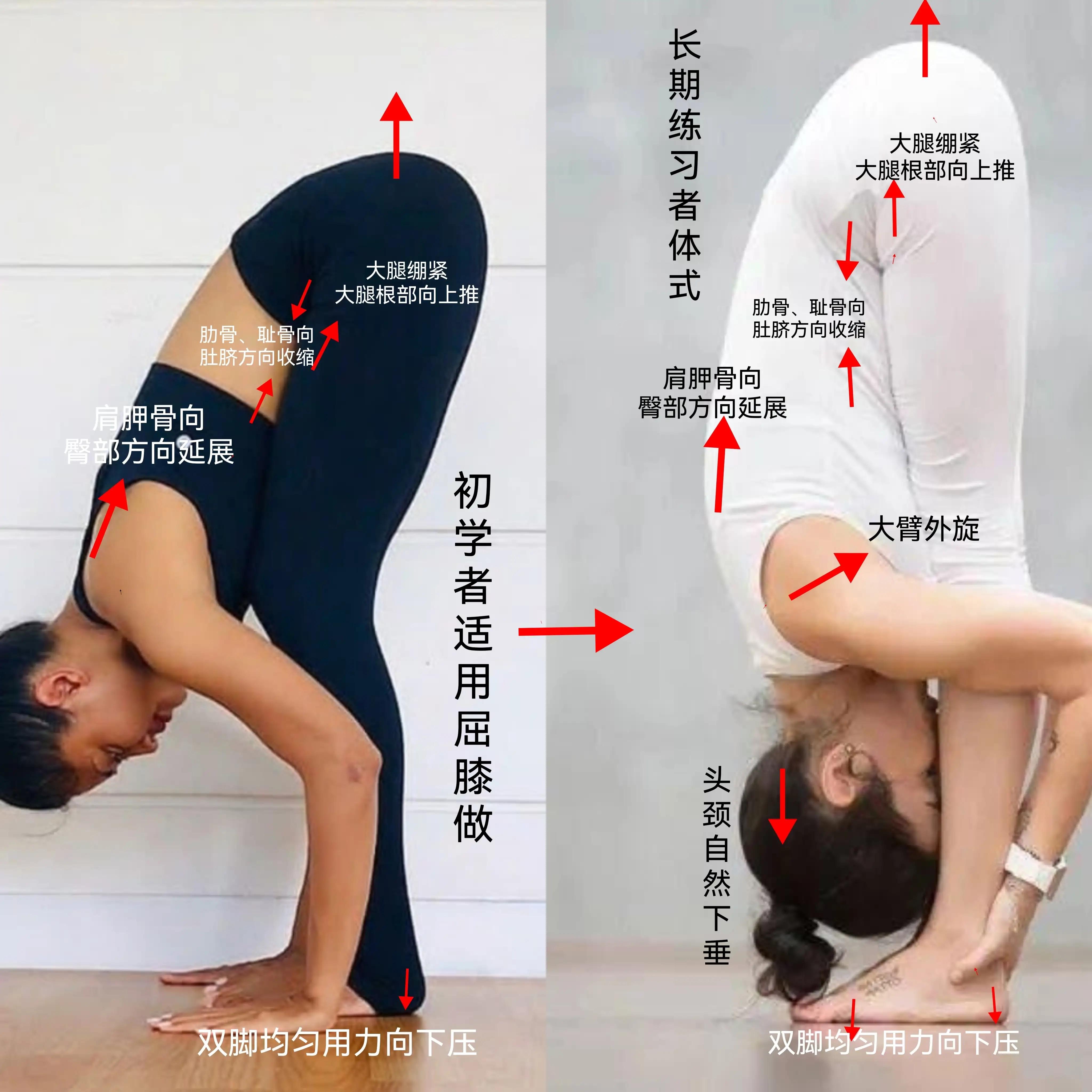 Ashtanga Yoga Sun Salutation A (Part 1): Raising Arms, Forward Bend ...
