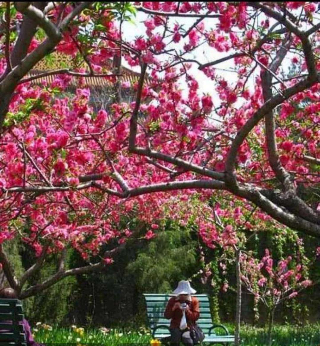 footsteps of spring - iNEWS