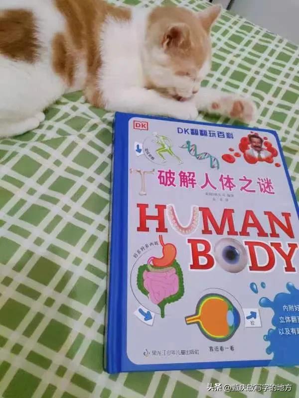 The secrets of the human body you don't know are in this book - iNEWS