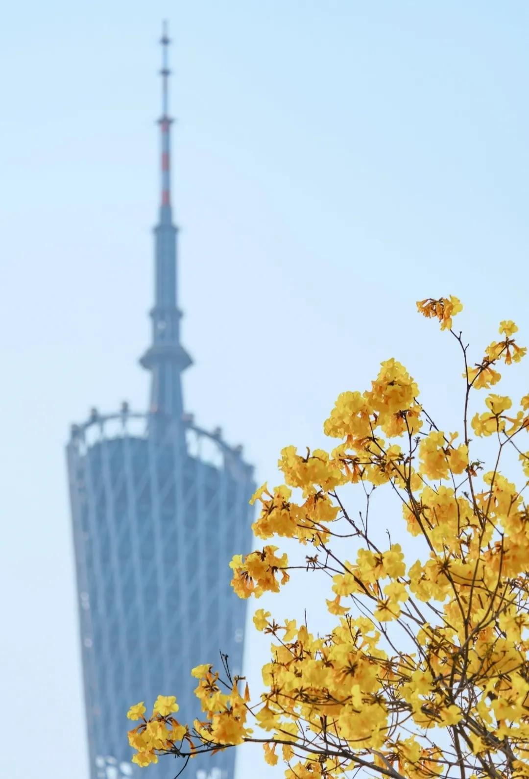 Guangzhou Modisha Park - iNEWS