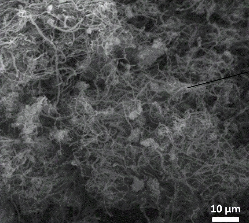 Microstructure of Carbon Fiber Reinforced Resin-Based Surface by ...