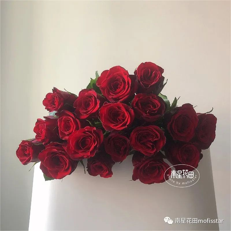Confidential Rose · Secret Love Heart - iNEWS