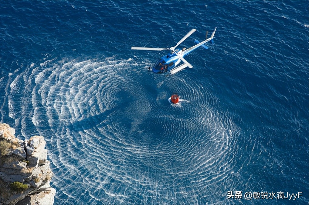 Unbelievable: Divers in full gear and body found in treetops at forest ...