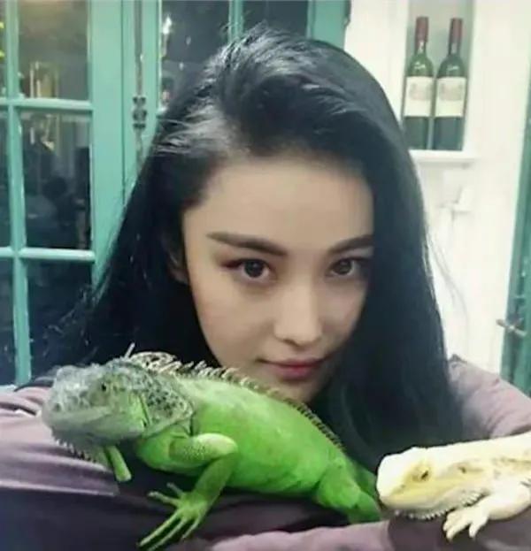 Cheng Xiao raised lizards, Li Bingbing raised spiders, Jiu Min, Song ...