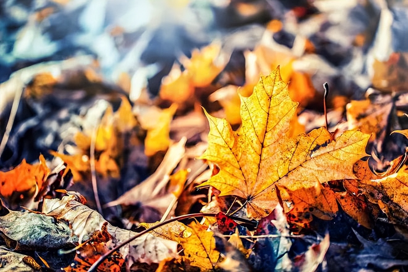 Summer is not over, and suddenly autumn is coming - iMedia