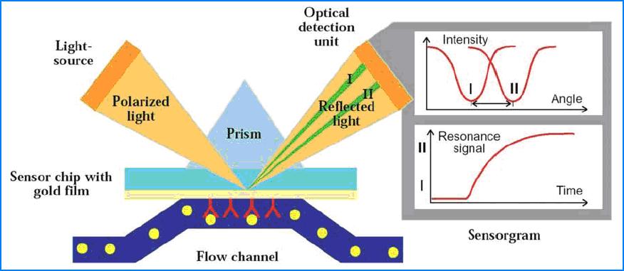 Surface plasmon photon manipulation technology, how to improve beam ...