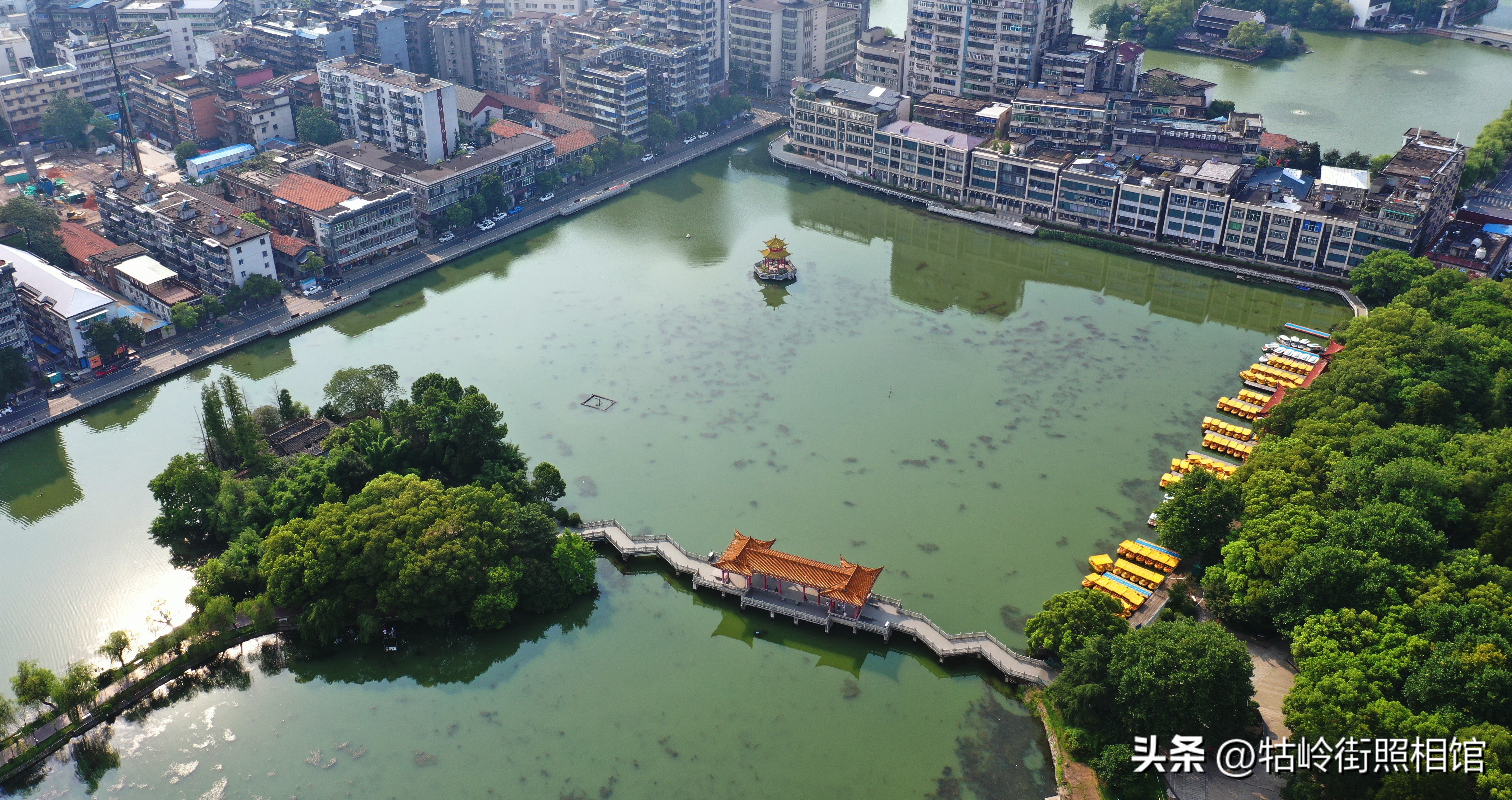 Nanchang East Lake water plants grow wildly all over the lake, and ...