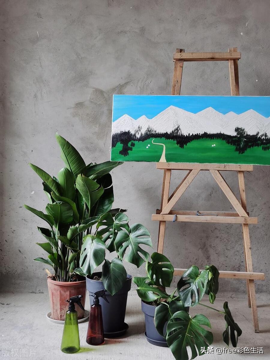 Planting method and management of monstera - iNEWS