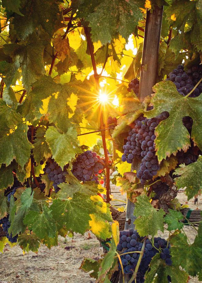 Summer is not over, and suddenly autumn is coming - iMedia