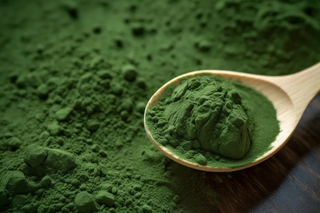 The most ideal food in the 21st century is Micrococcus? - iMedia