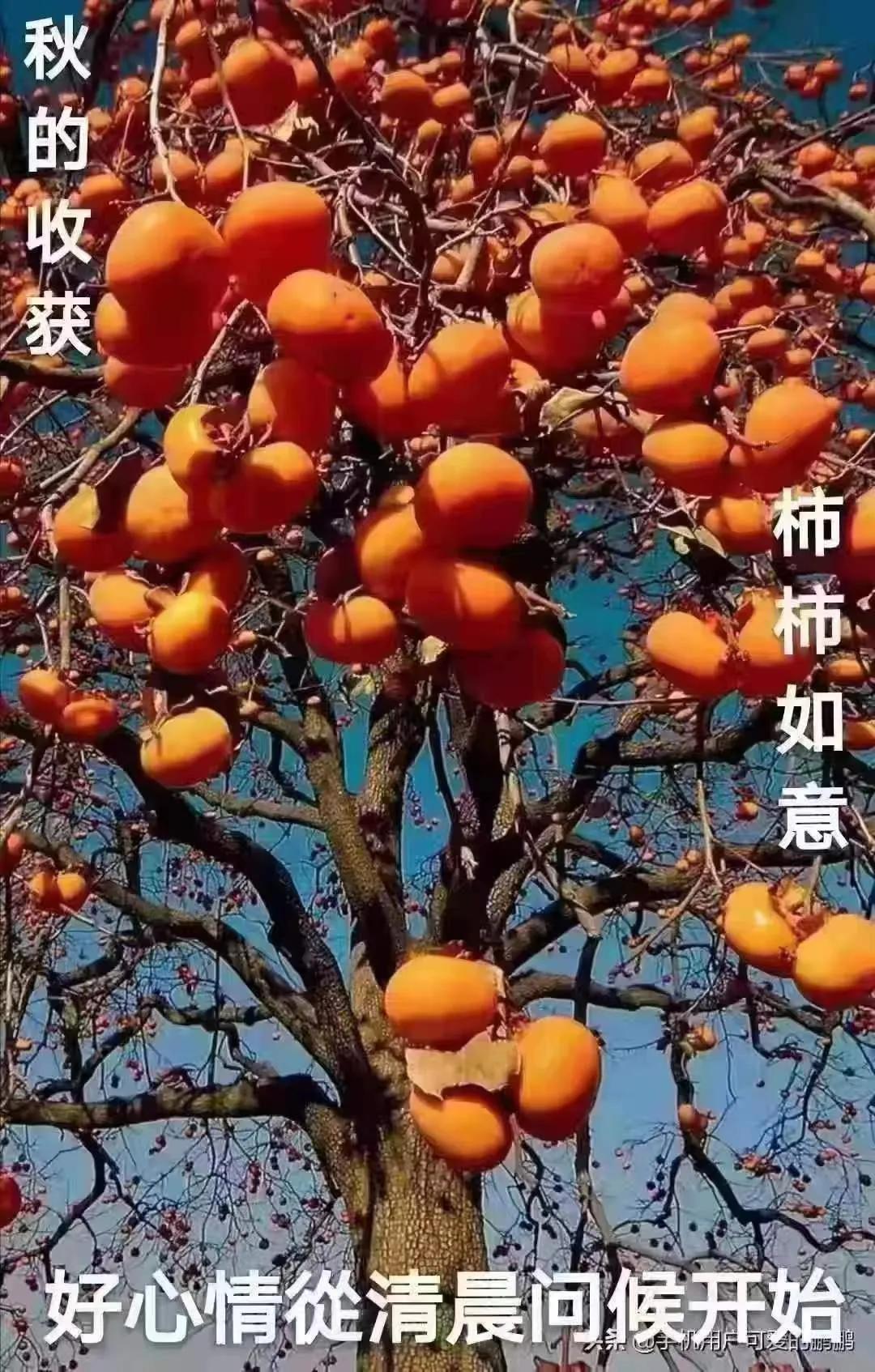 Occasionally got two photos of the third brother (Ping Jianxing) in the ...