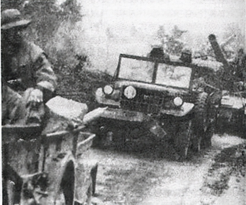 In 1979, 31 Black Panther commando members suddenly received an ...