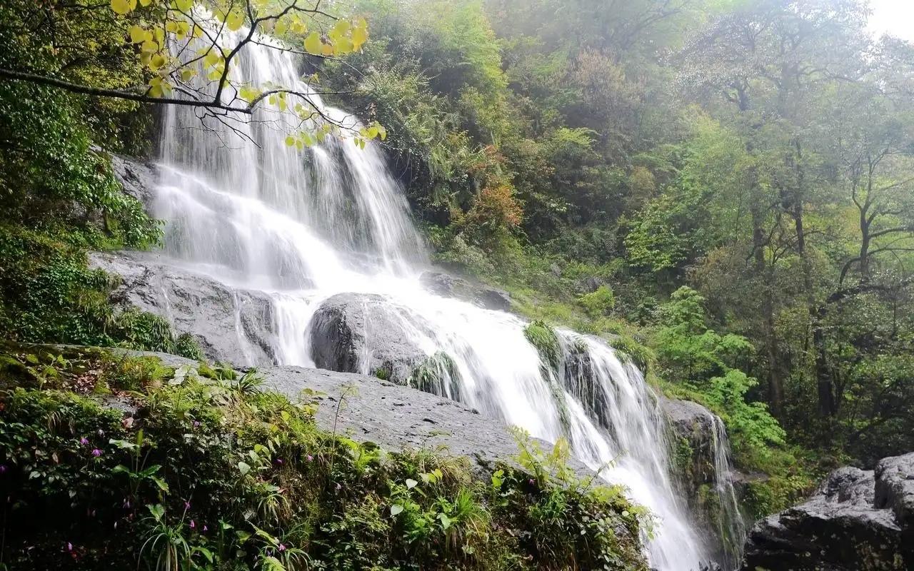 Four Seasons of Longcanggou National Forest Park - iNEWS