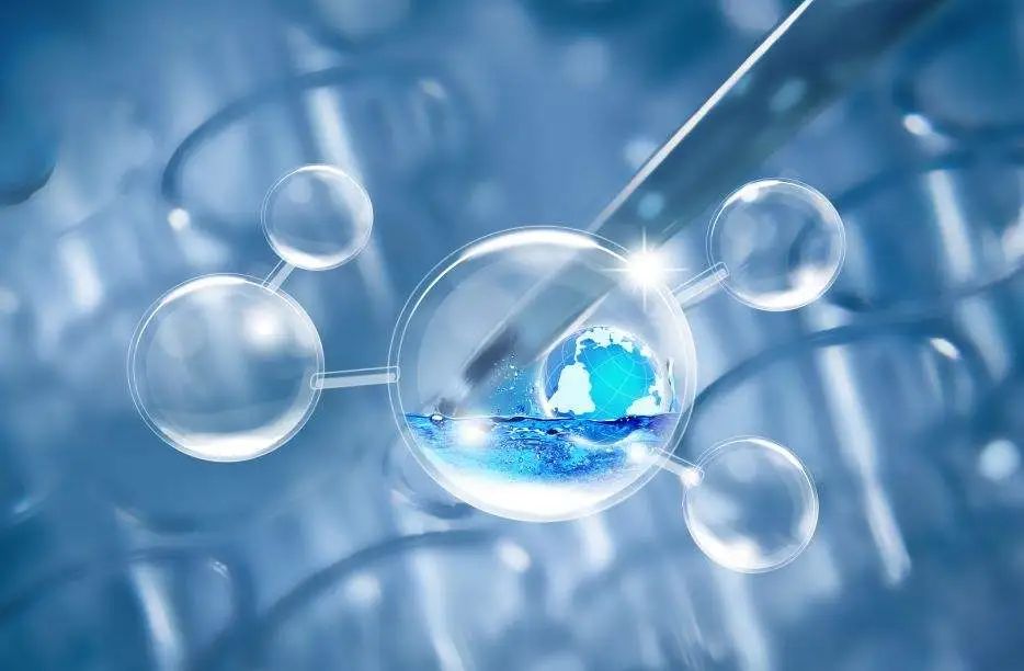 Peptides, the most indispensable nutrients for the human body - iNEWS