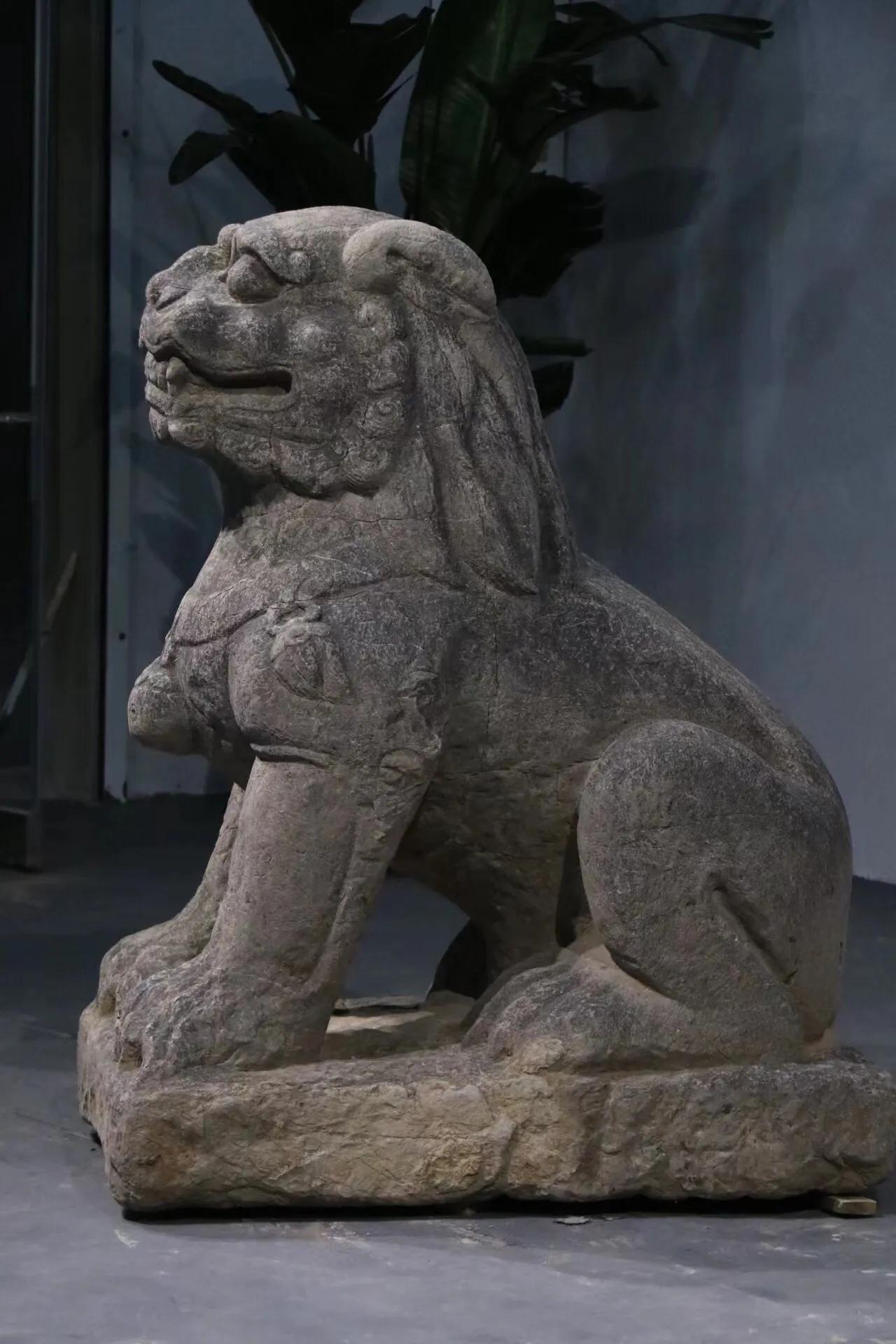 Relics of Tang and Song Dynasties—Lion Lion Size: 1.15 meters high - iNEWS