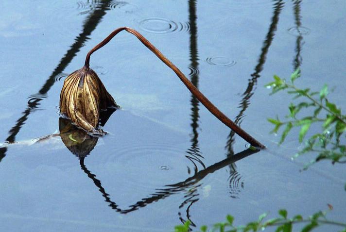 Each of these six poets has only one poem handed down to later ...