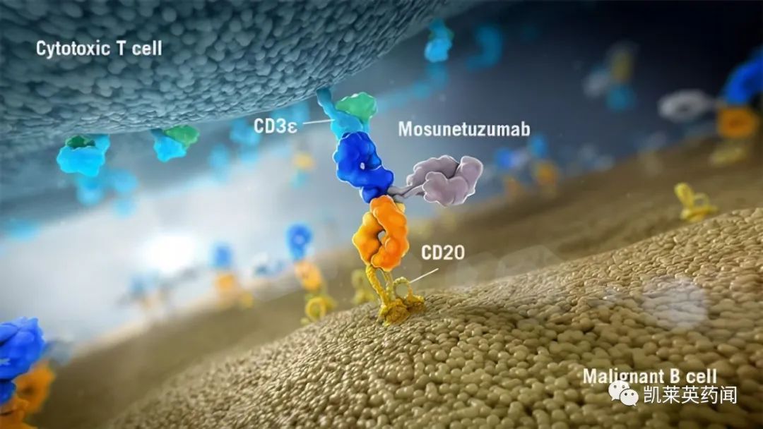 Up to $1.7 billion!Gilead and MacroGenics co-develop dual antibody in ...