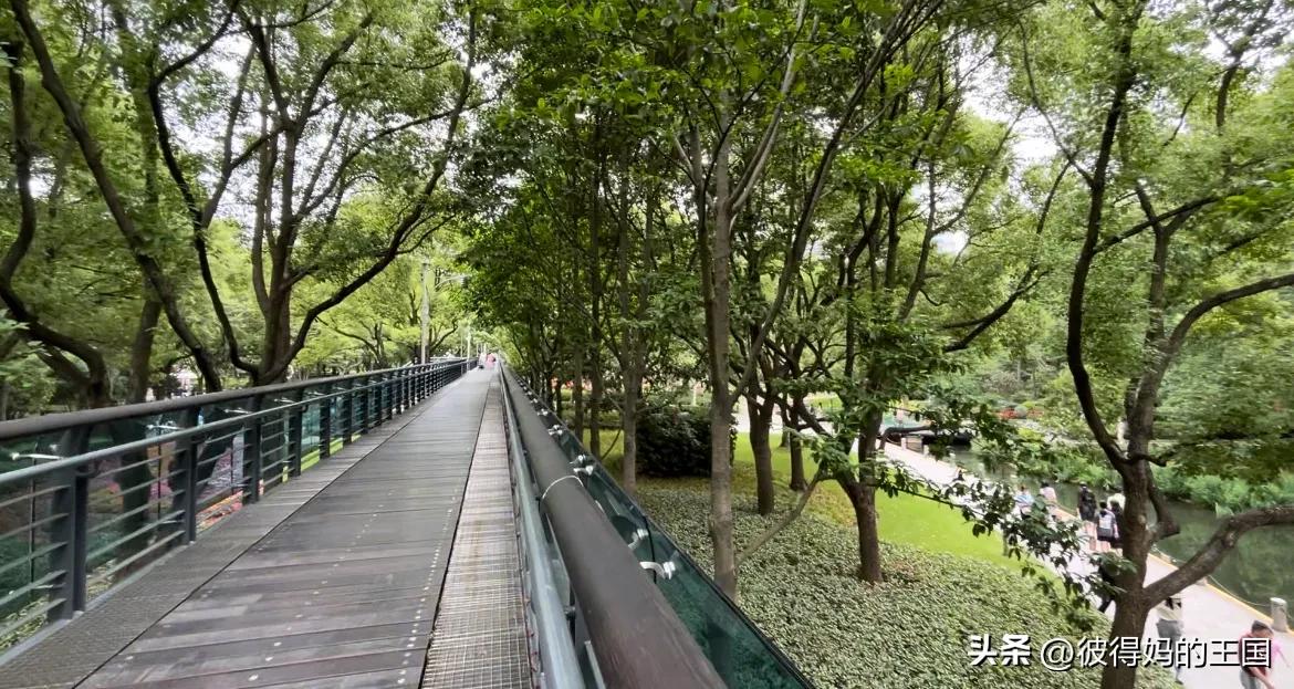 You can also see little squirrels in Xujiahui, Shanghai~ - iMedia