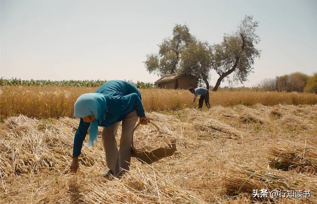 "Hidden in the Dust" Gui Ying: a tragic figure who wants to break free ...