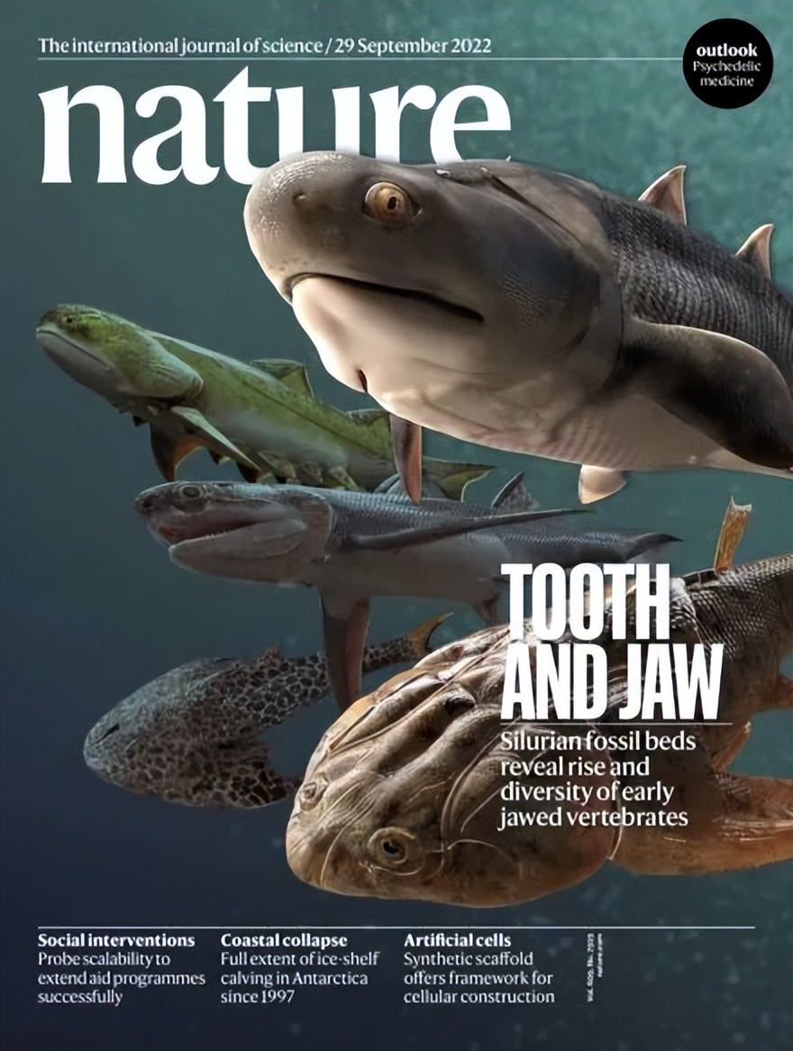 From fish to man, did humans actually evolve from fish? - iNEWS