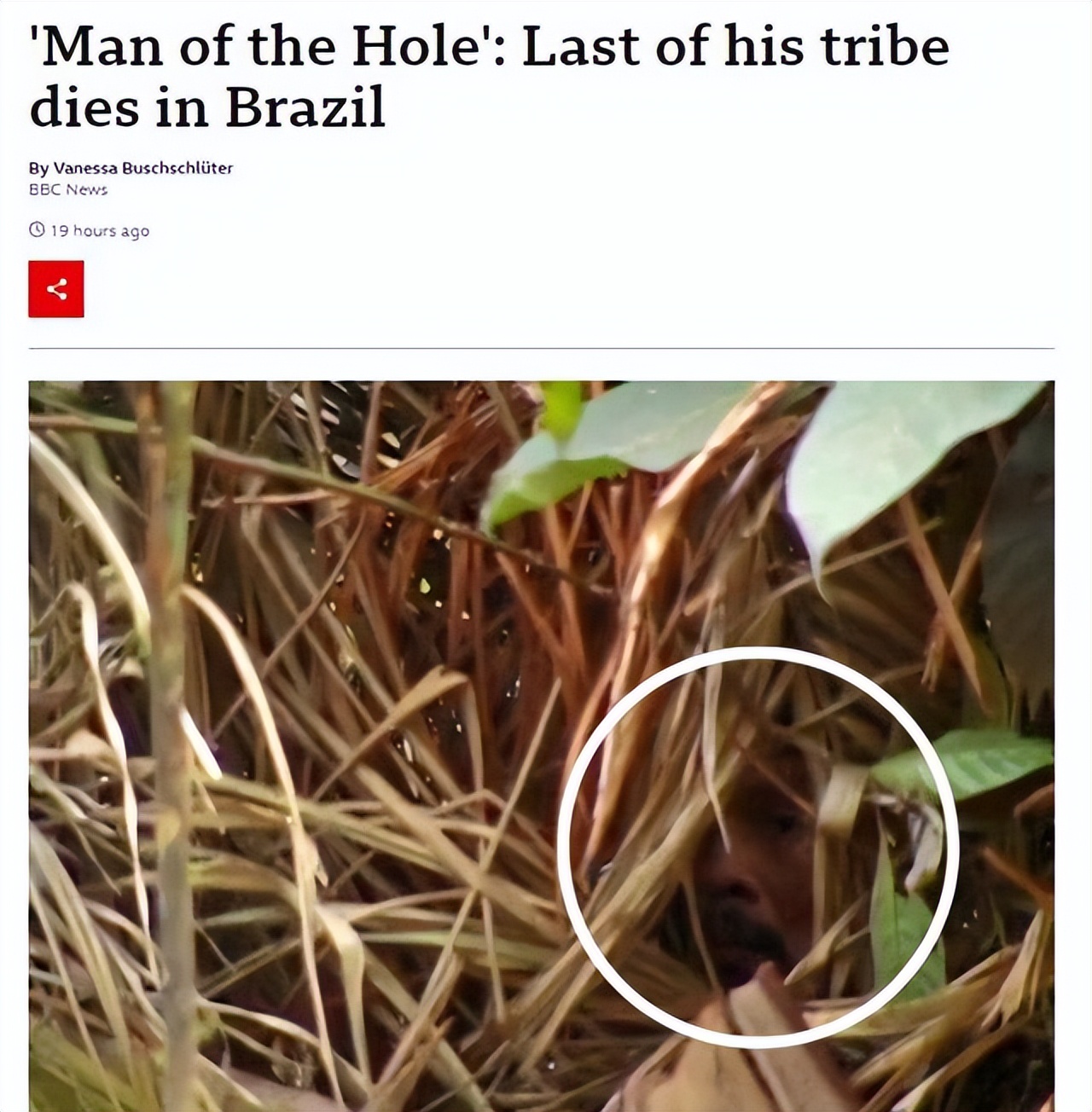 Brazilian 'cave man' dies, dubbed world's loneliest man, witnesses ...