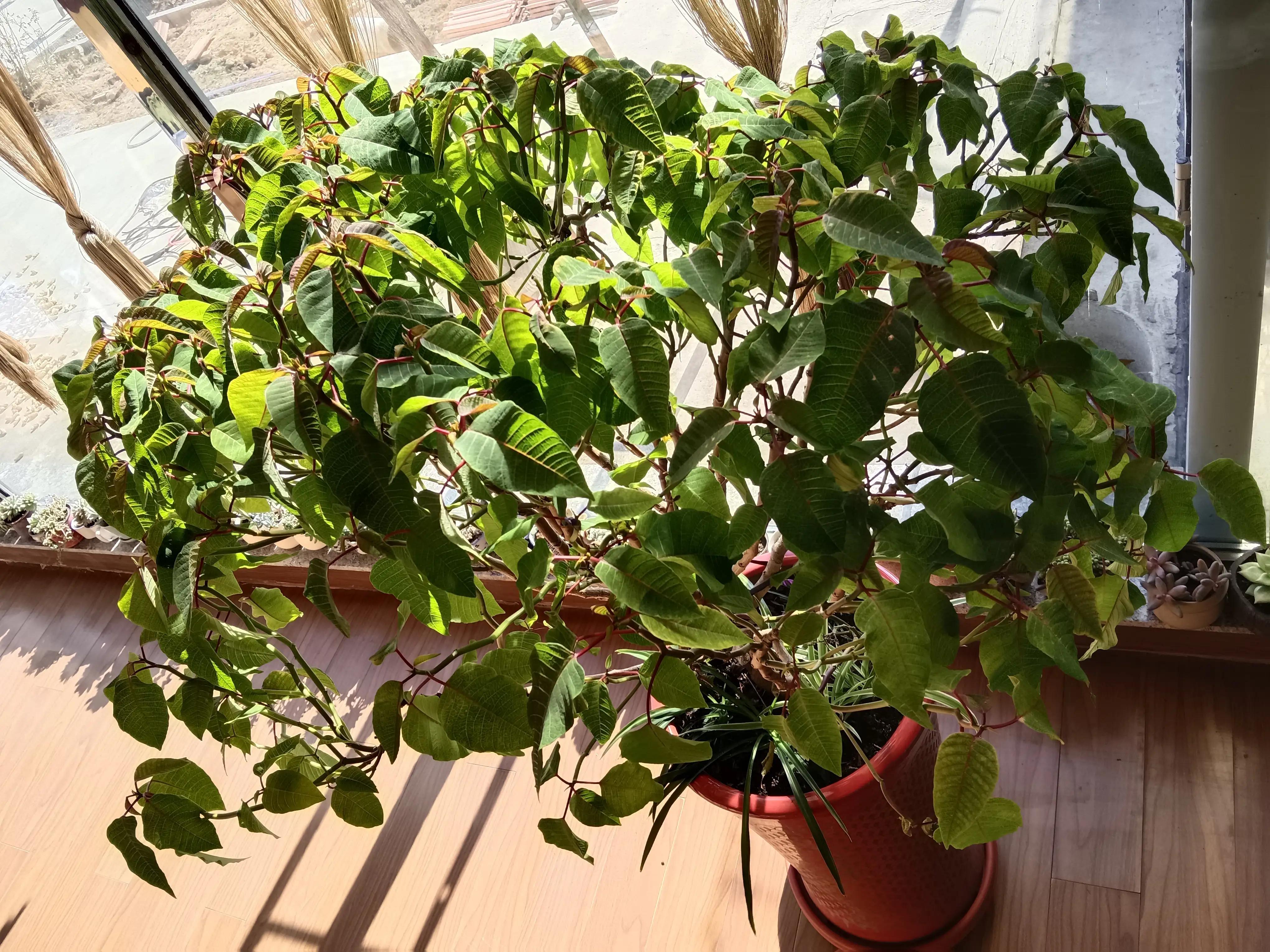 Baiyun Spring on Tianping Mountain - iNEWS