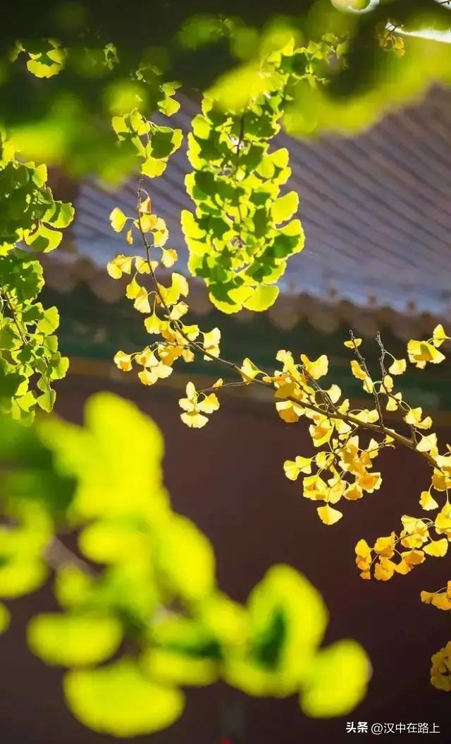 Autumn, the ancient town micro-vacation strategy - iMedia