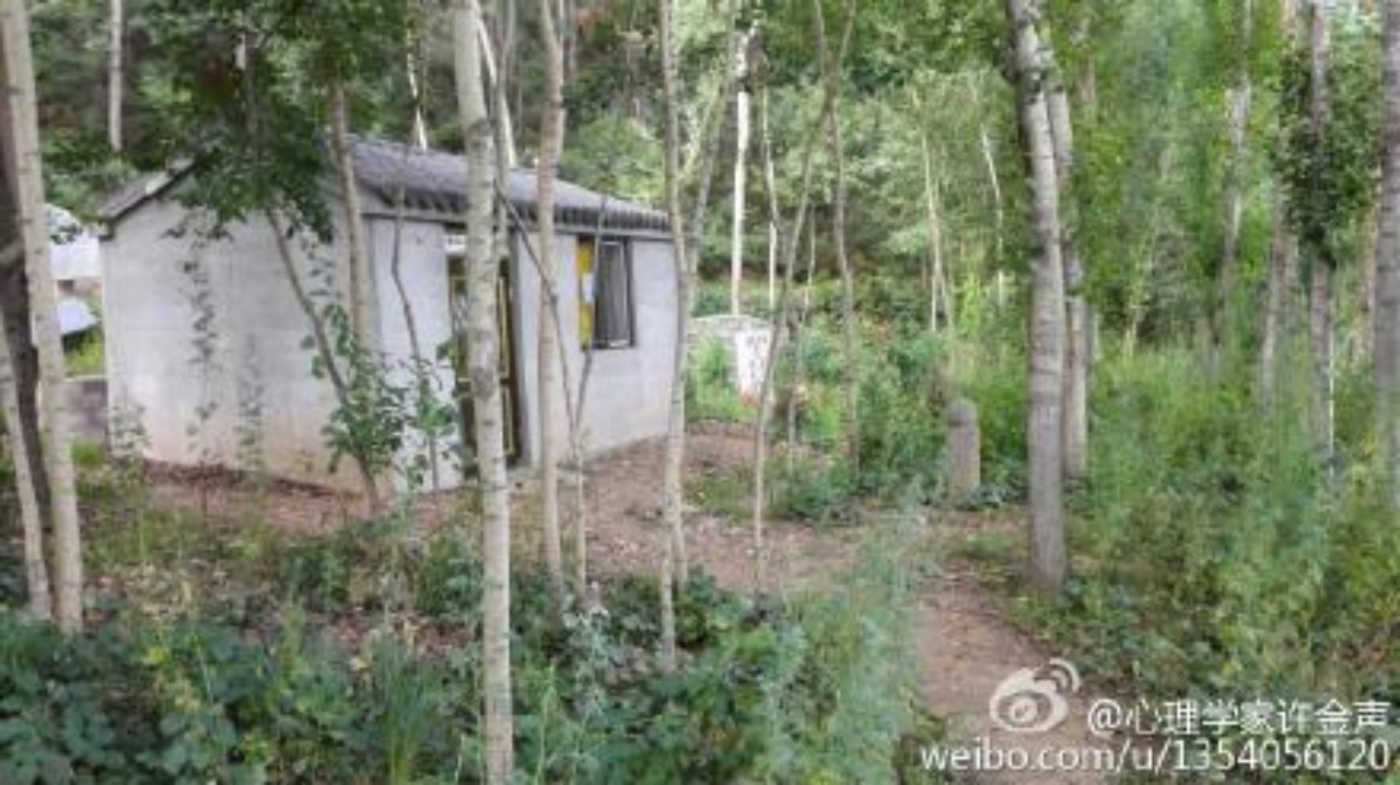 Several Enlightenments of Wang Fengyi - iMedia