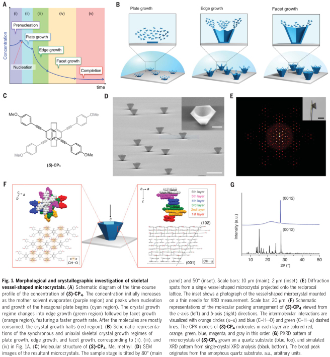 Synchronous Assembly of Chiral Framework Single Crystal Microtubules ...