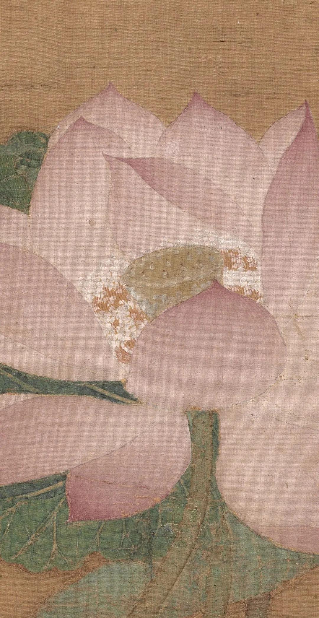 Appreciation of Wu Bing's paintings - iMedia