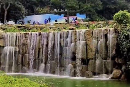 Coco Lee's burial scene exposed! My sister hugged the ashes and shouted ...