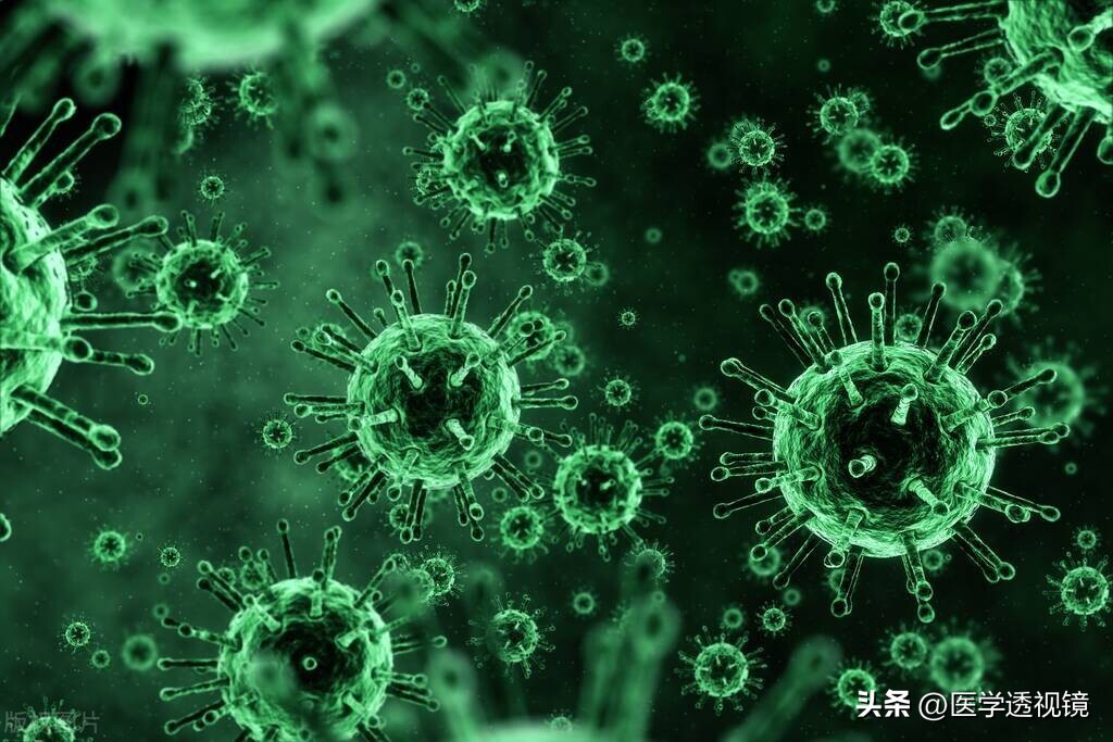 Gastrointestinal virus infection, very hidden and very harmful - iMedia