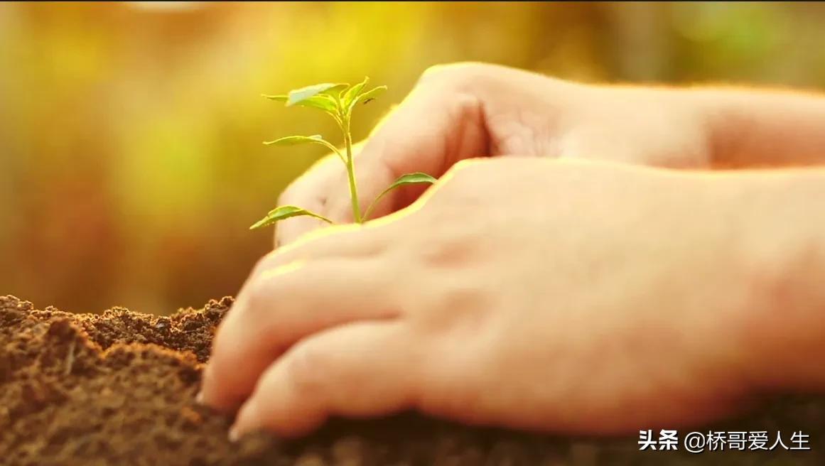 When you are sad and desperate, please raise your hands... - iNEWS