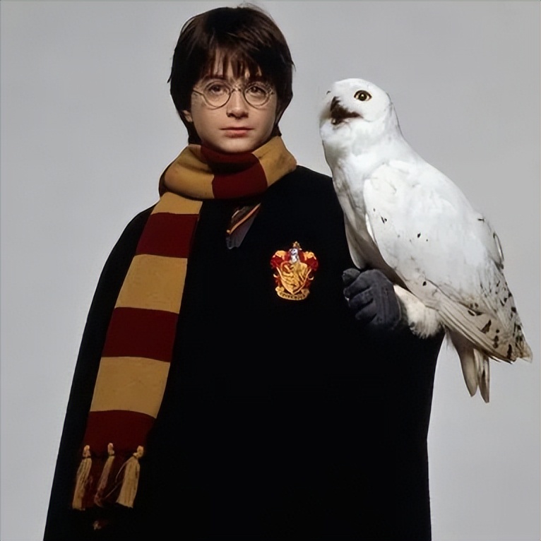 How the Movie Harry Potter Uses Color to Convey Character Emotions - iMedia
