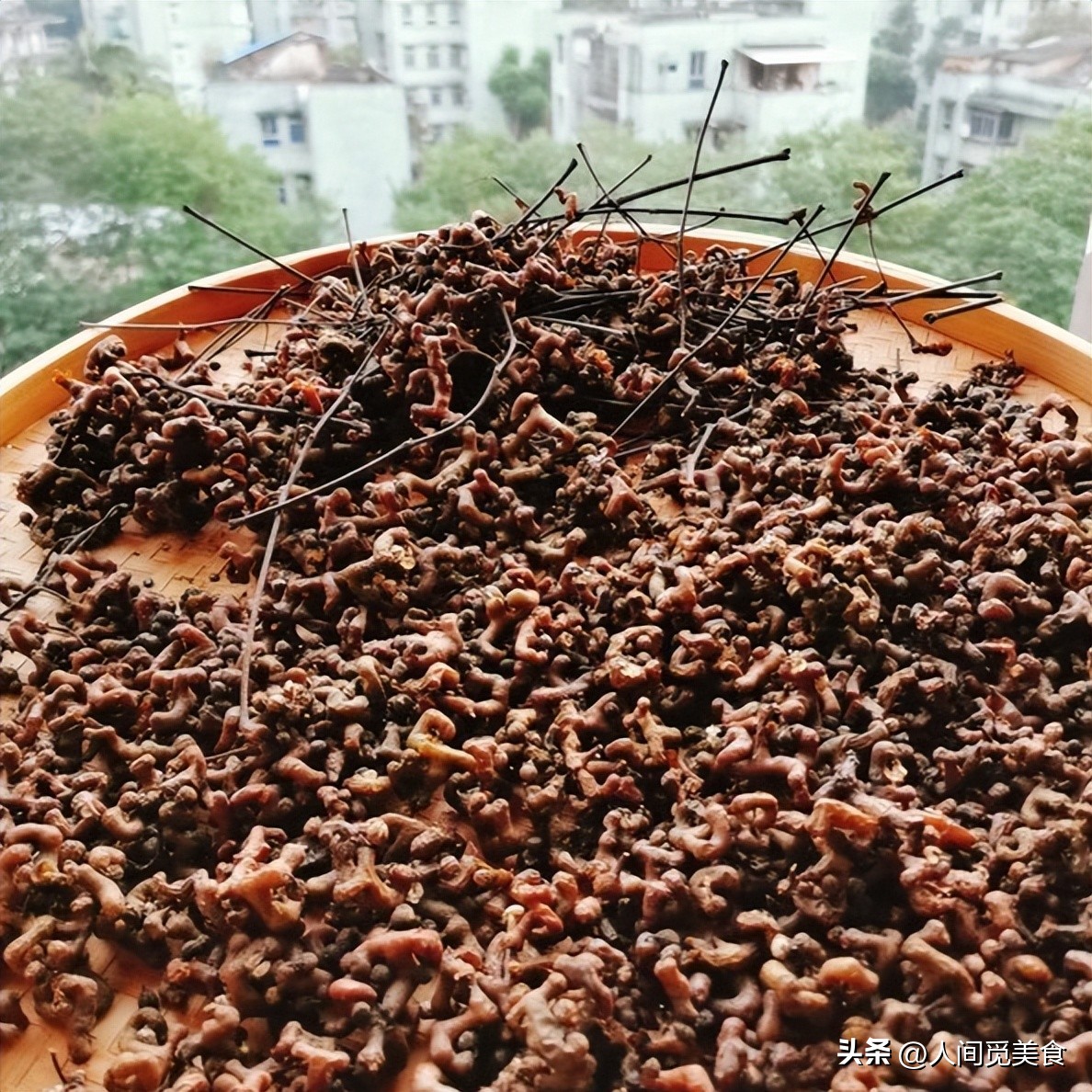 "Zhan Zhao" He Jiajin gorged on unknown fruits and showed off online ...
