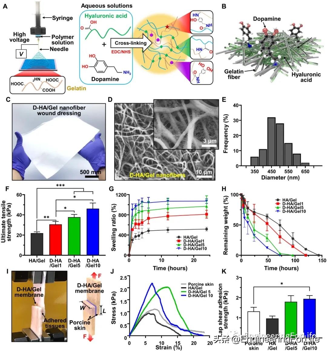 Adhesive nanofiber membrane equipped with wearable LED patch for wound ...