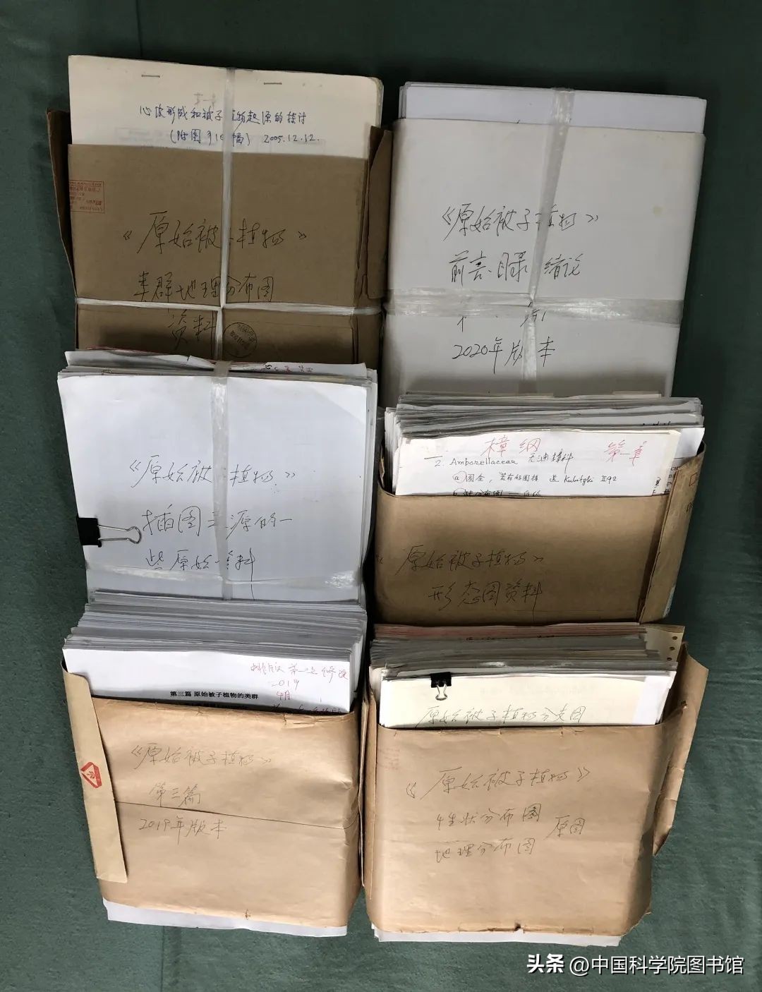 [Characteristic collection of the whole academy] Institute of Botany ...